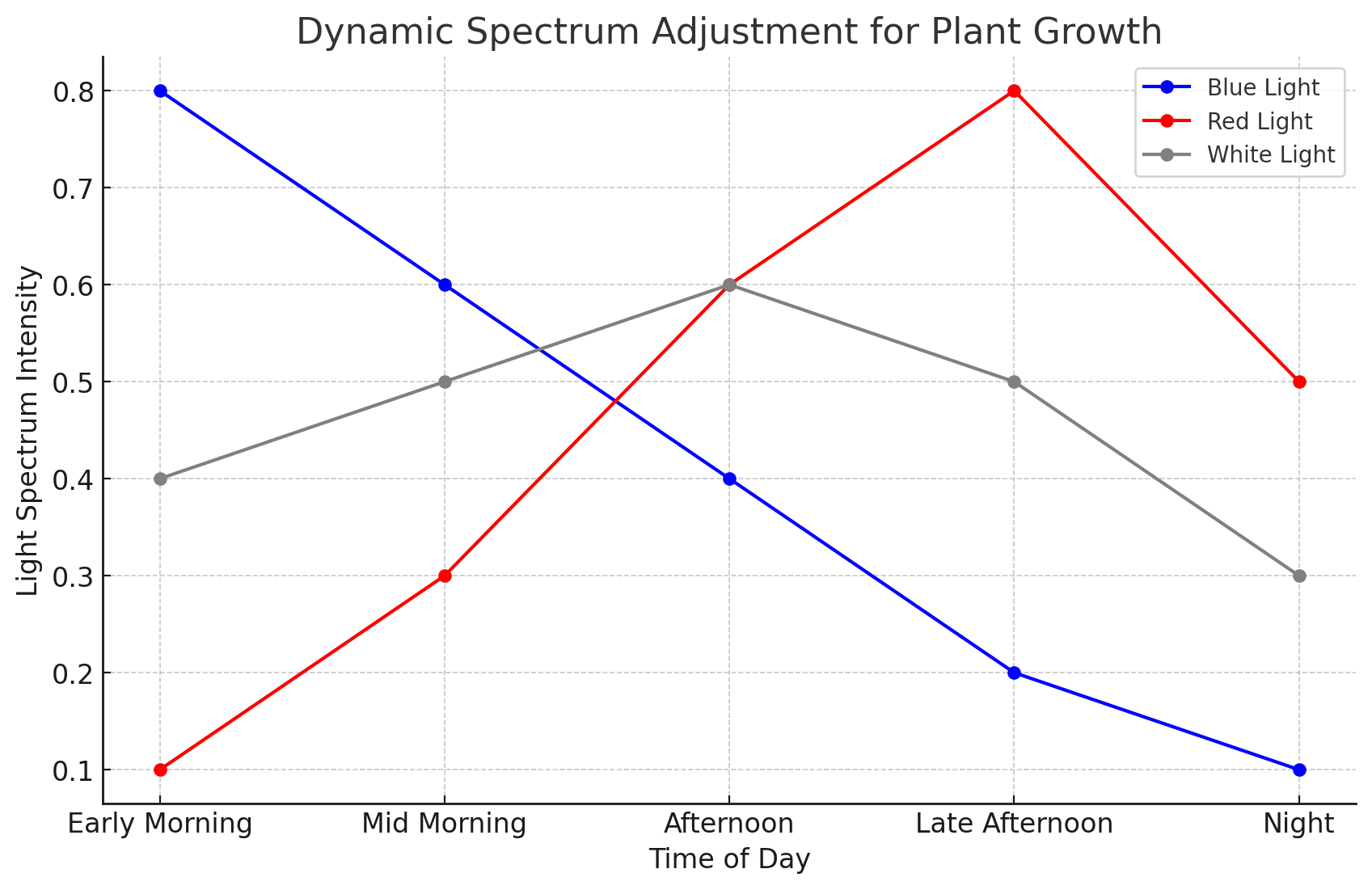 Essential Guide: How LED Grow Lights Work & How to Use Them