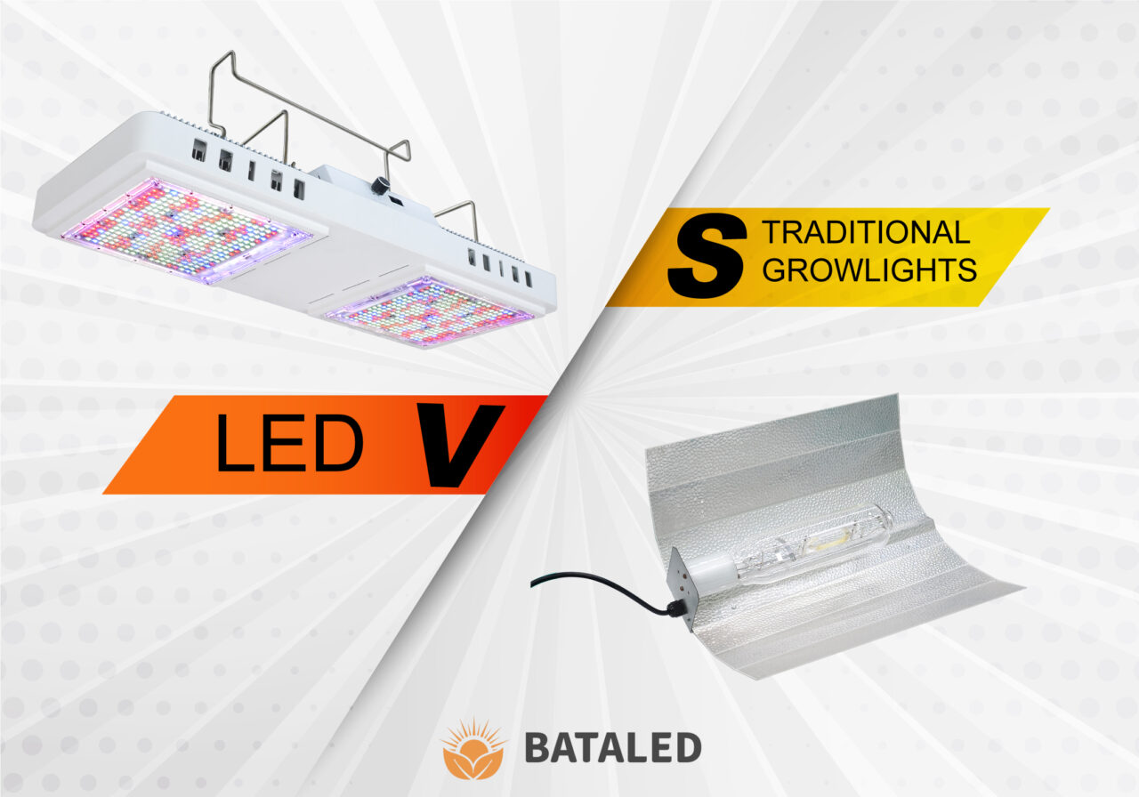 Essential Guide: How LED Grow Lights Work & How to Use Them