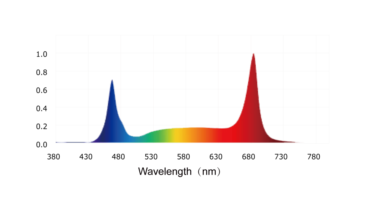 IZJ Series Interlighting Grow Light from BATA LED Manufacturer