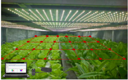 Grow Light PPFD Differences: Why Do They Vary? 5 Key Causes